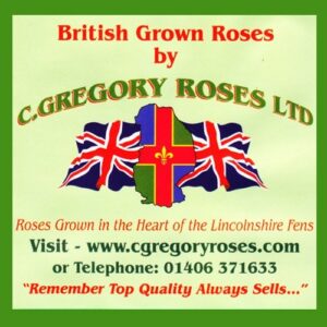 British Grown Potted Roses - Colin Gregory Roses Ltd